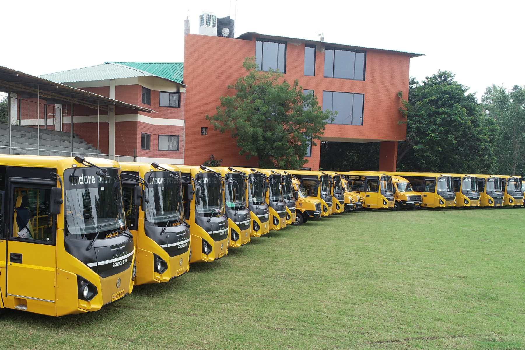 IPS Academy Dept. of Social Sciences